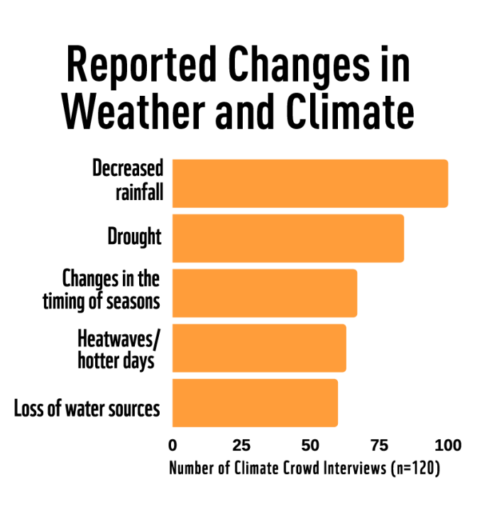 Rainwater Harvesting Systems for Primary School Students | WWF Climate ...