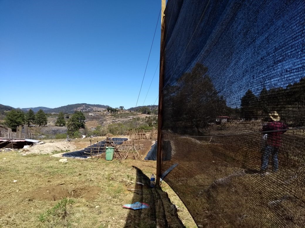 Building Fog Catchers and Artificial Waterways | WWF Climate Crowd