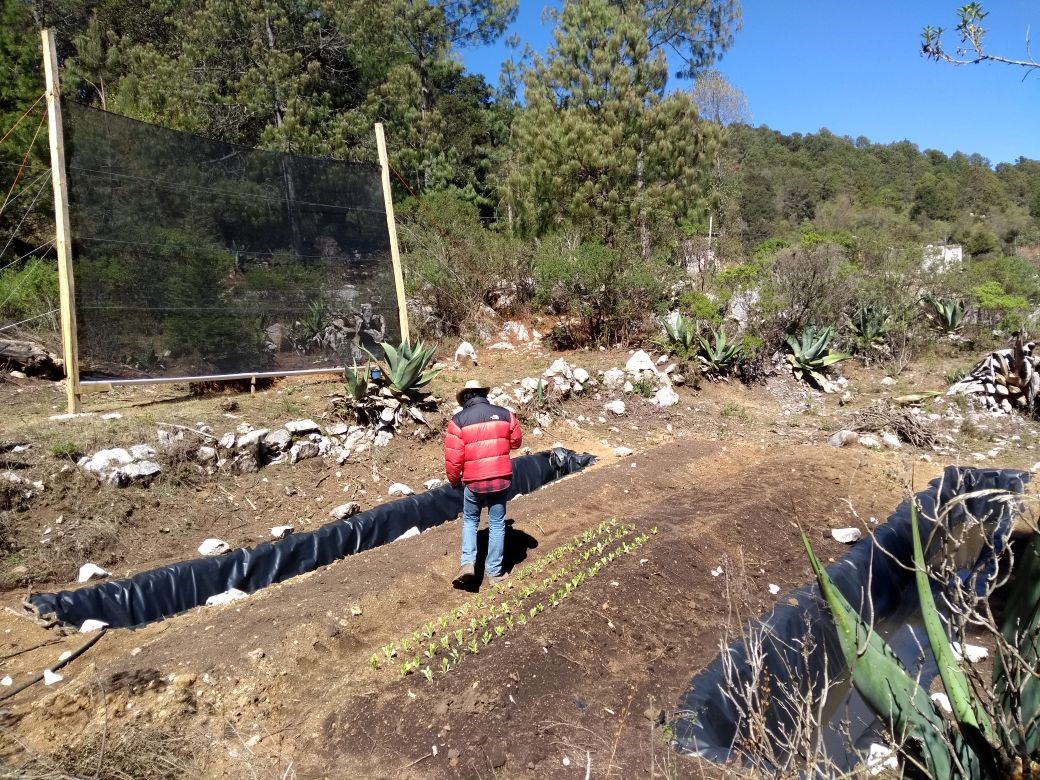 Building Fog Catchers and Artificial Waterways | WWF Climate Crowd