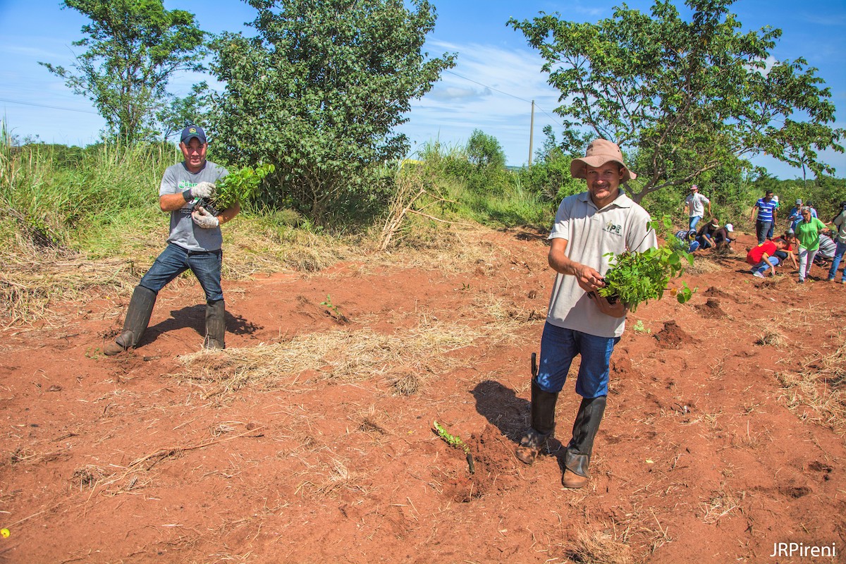 Building a Wildlife Corridor Through Reforestation | WWF Climate Crowd