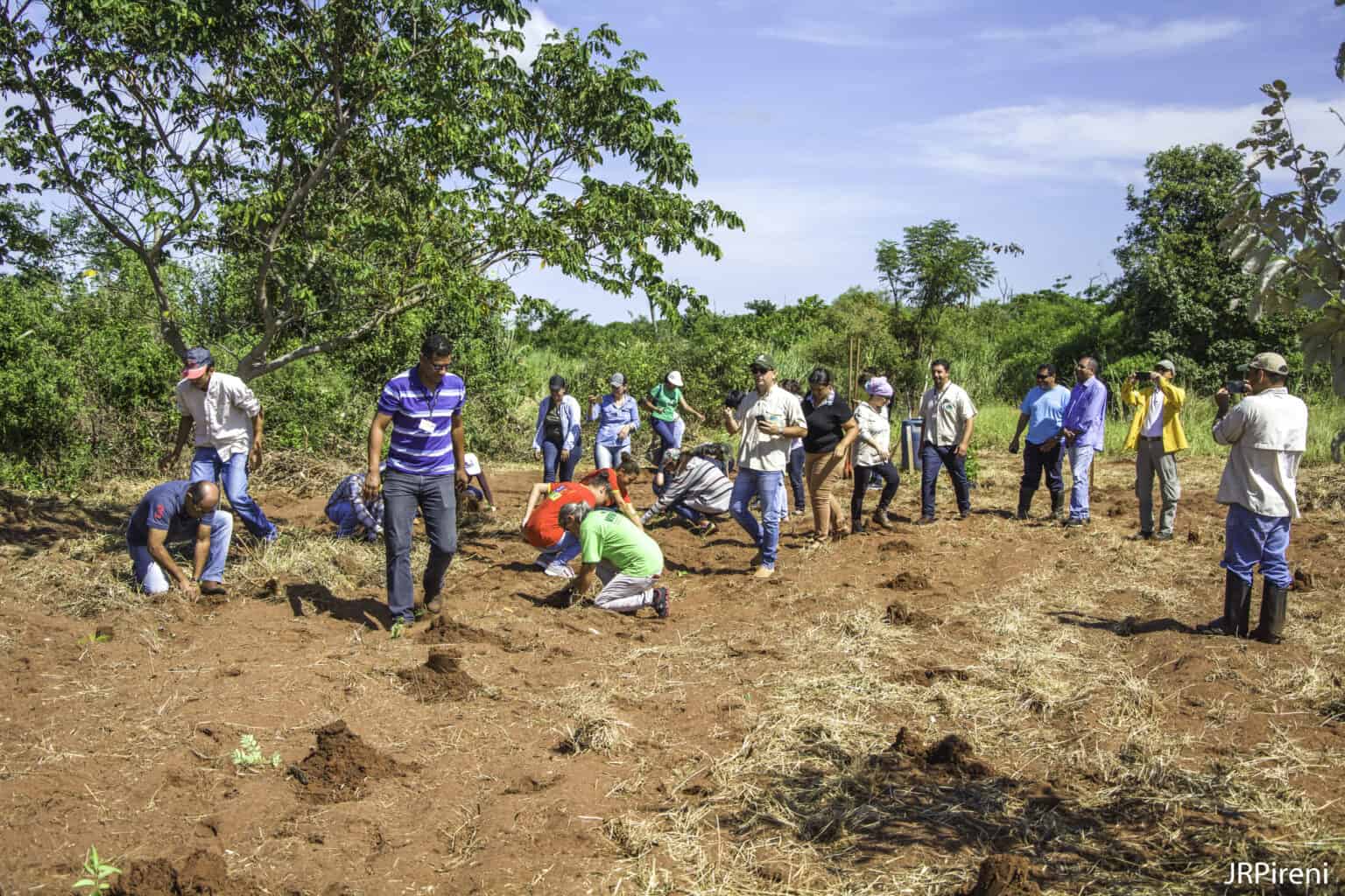 Publications | WWF Climate Crowd