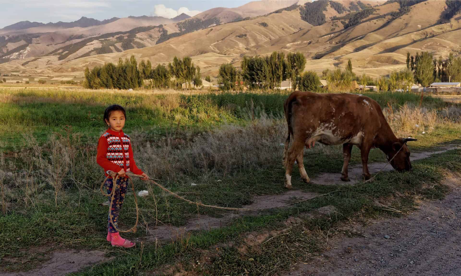 Publications | WWF Climate Crowd