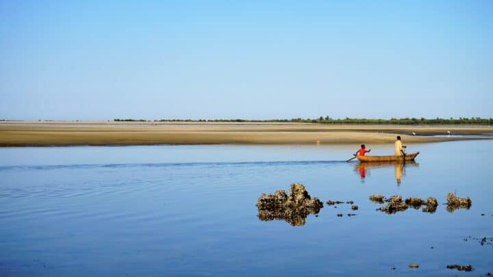 Publications | WWF Climate Crowd