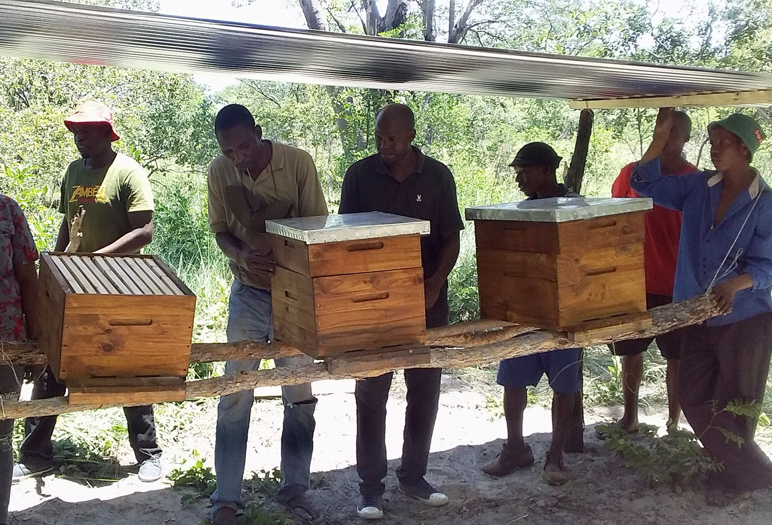 Beekeeping for youths in the Zambezi Region | WWF Climate Crowd