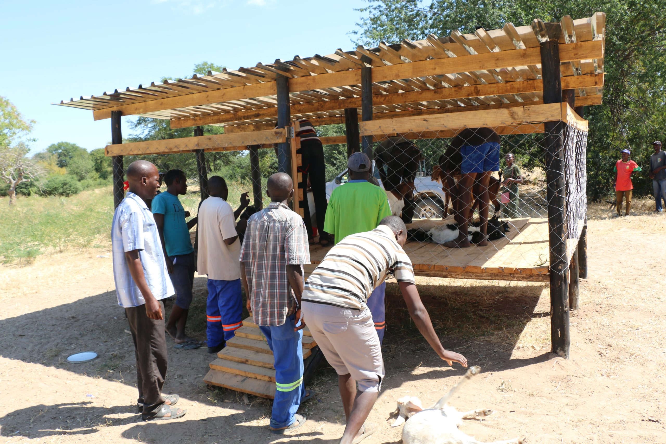 Community Goat Production Scheme for Livelihood Diversification | WWF ...