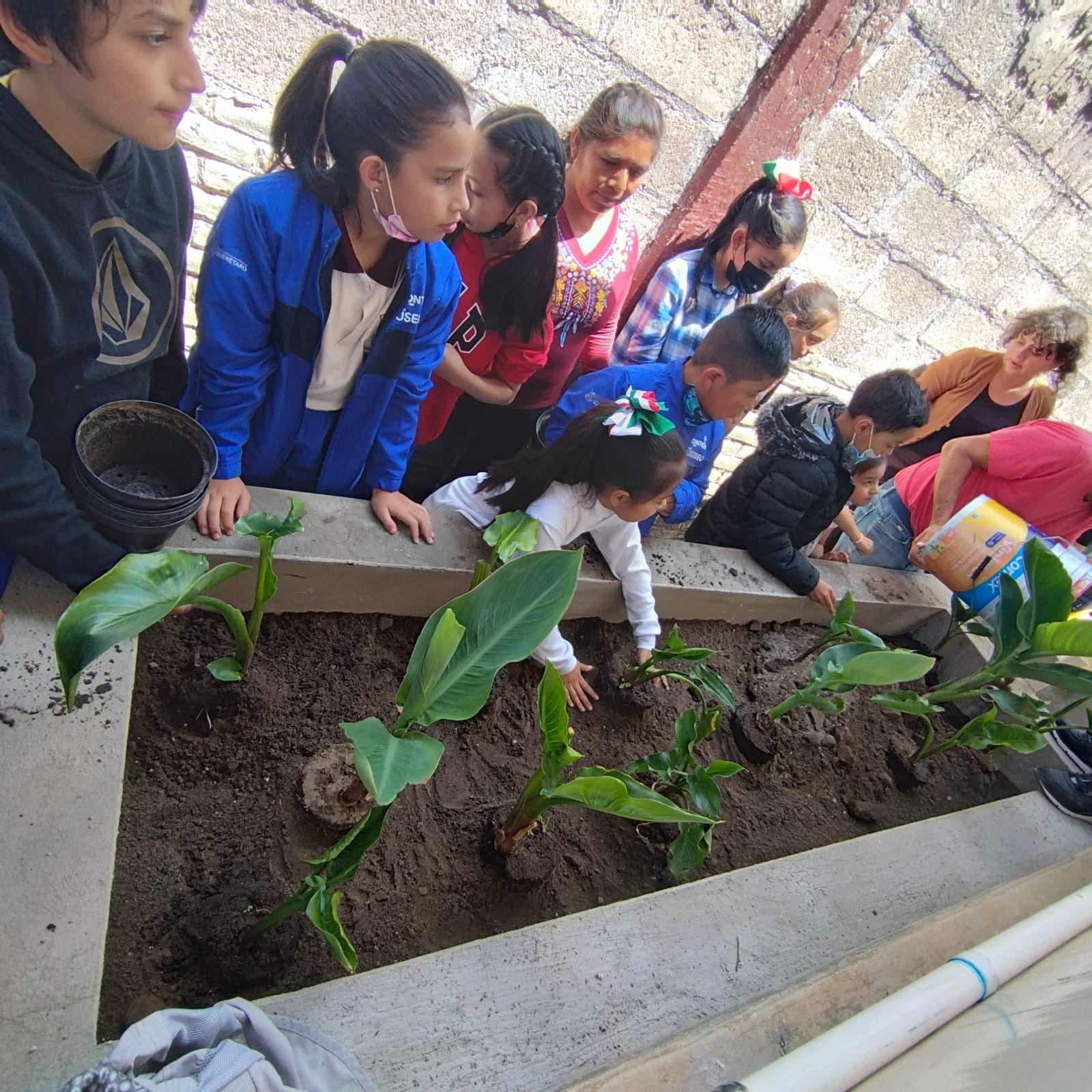 Biofilter and Environmental Education for Primary School Students | WWF ...