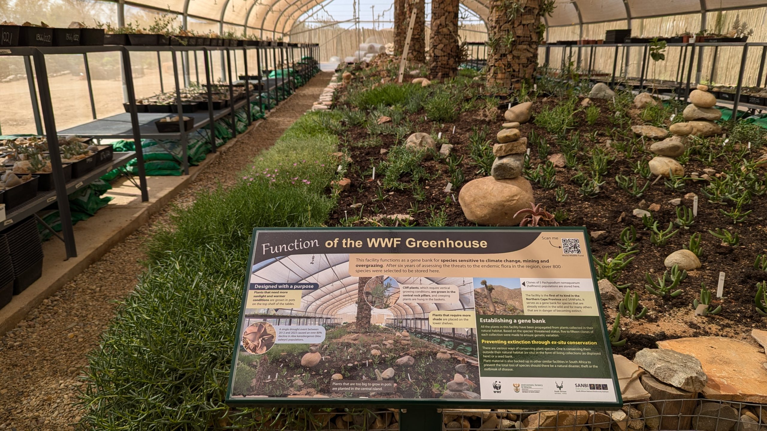 Q3 2024 Newsletter: South Africa greenhouse, Climate Crowd updates, and ...