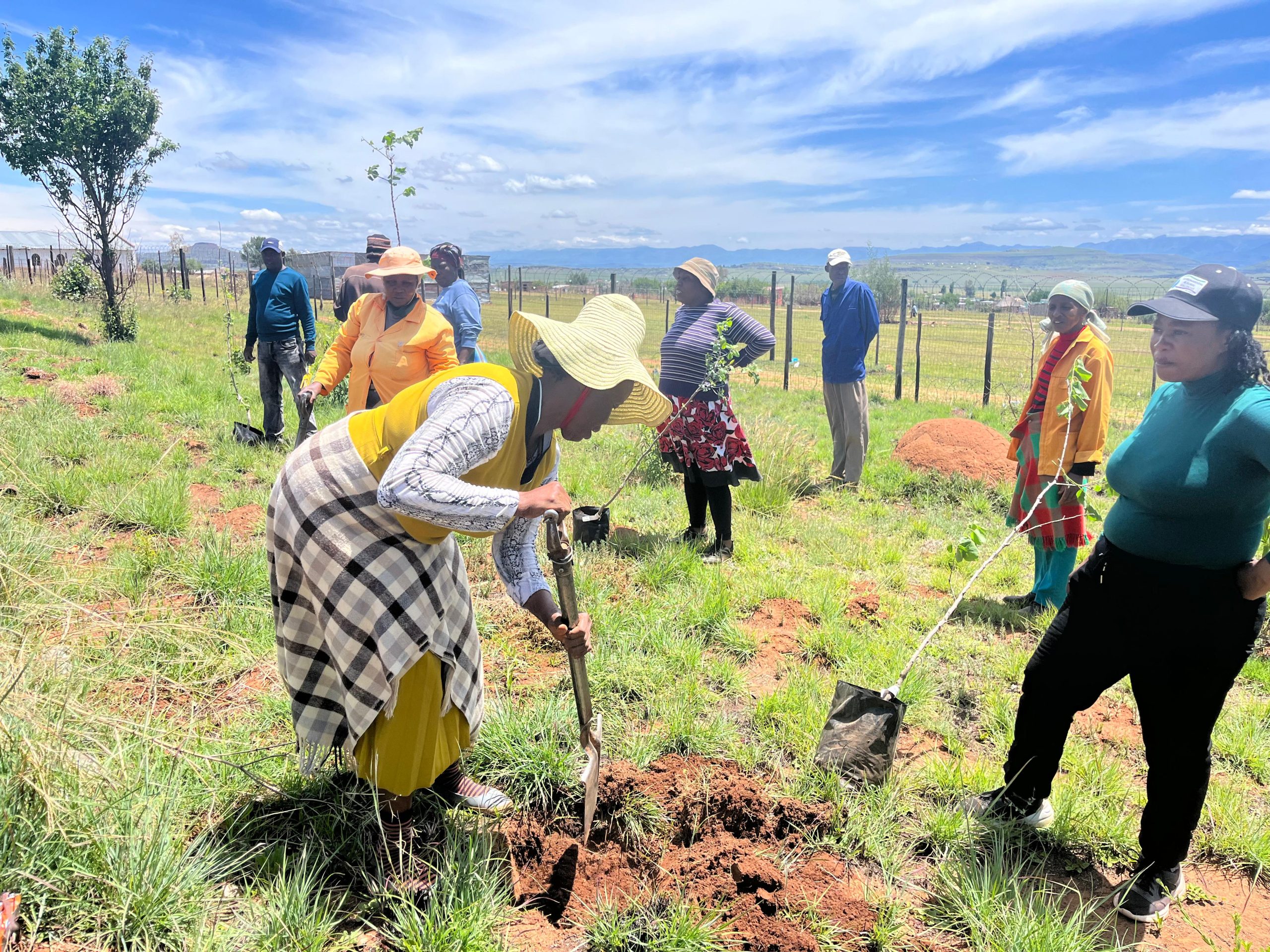 Increasing household food security in Matatiele, South Africa | WWF Climate Crowd