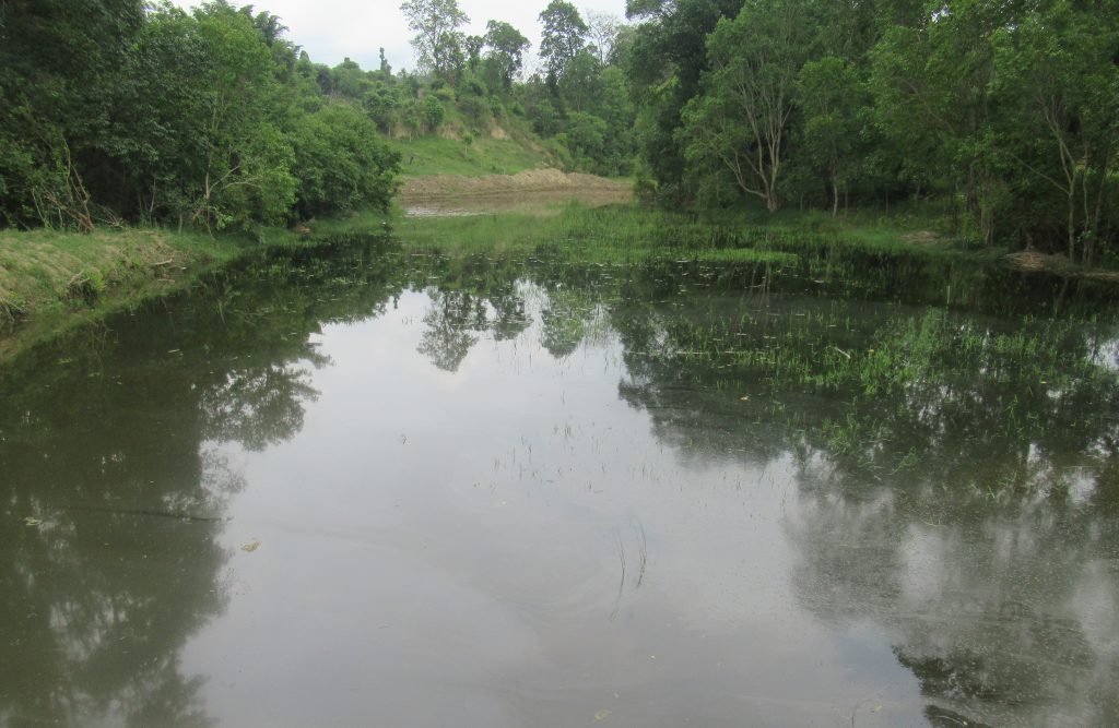 A multipurpose pond for water availability and nature-friendly ...