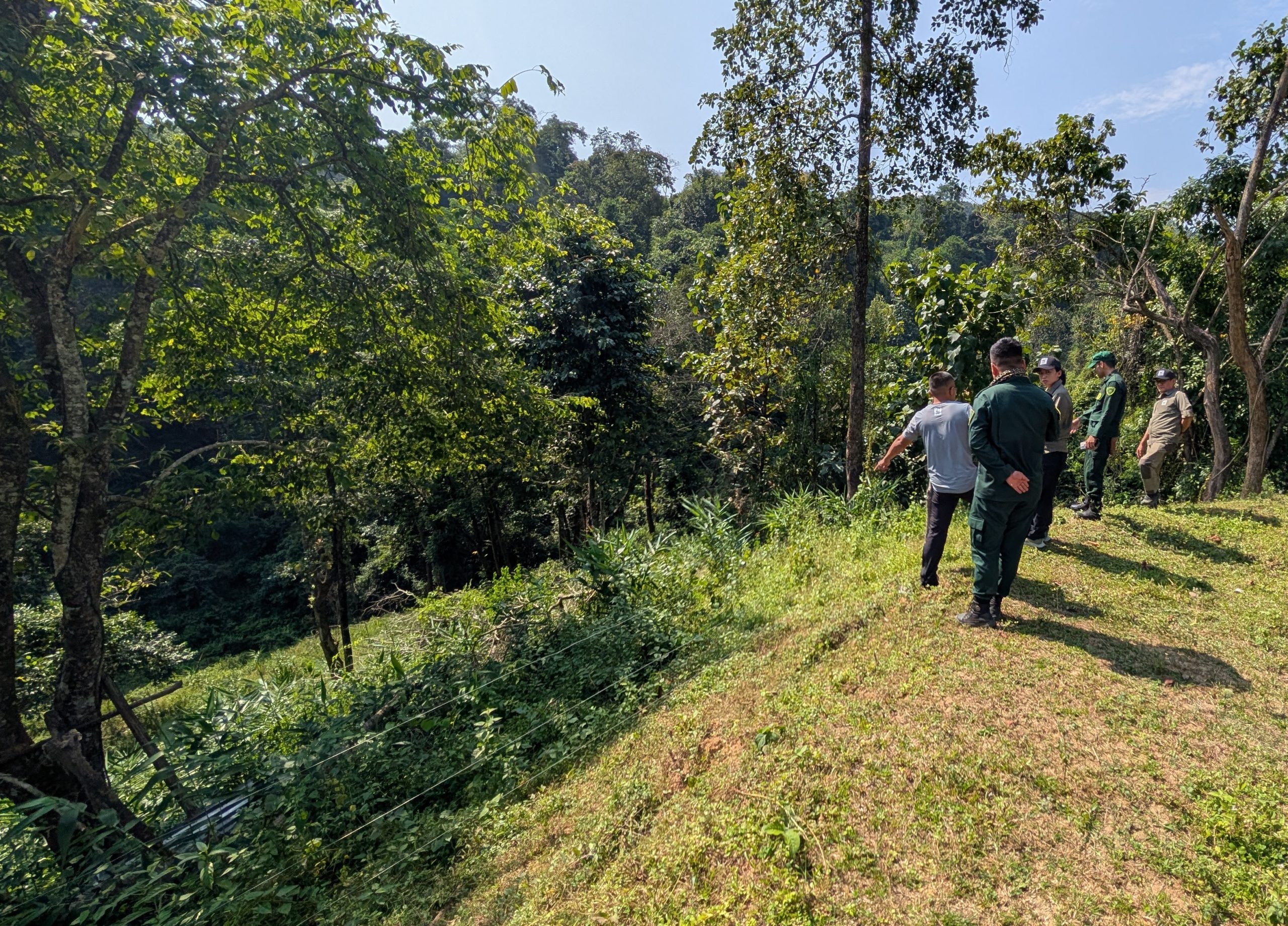 Producing soft brooms for climate-resilient income generation in Bhutan ...
